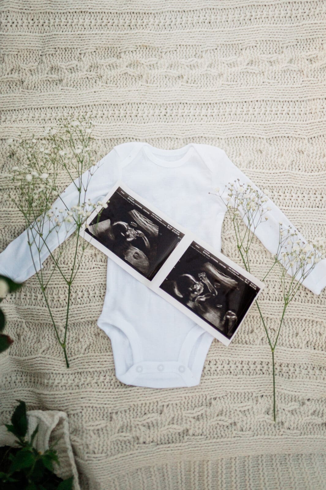 Catie + Thad | Baby Announcement at Bramblewood Farms ...